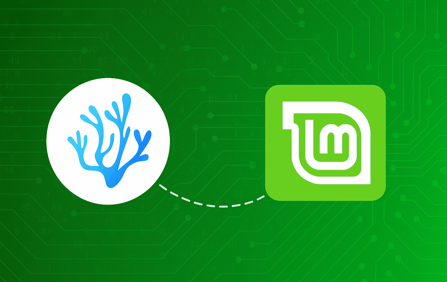 How to Install VSCodium on Linux Mint (22, 21) - LinuxCapable