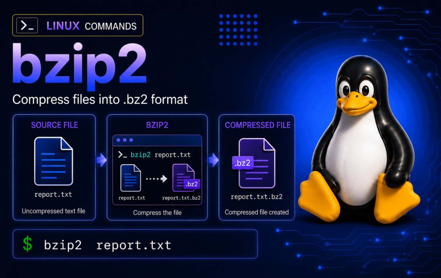 bzmore Command in Linux: View .bz2 Files One Screen at a Time ...