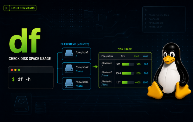 df Command in Linux With Examples - LinuxCapable